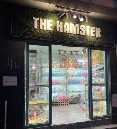 TOP 5 SHOP BÁN CHUỘT HAMSTER Ở HÀ NỘI UY TÍN NHẤT